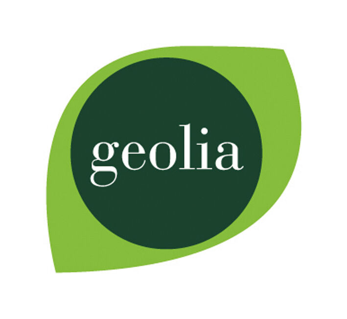 pala da neve geolia in alluminio con manico in legno di faggio 110cm - bricocenter