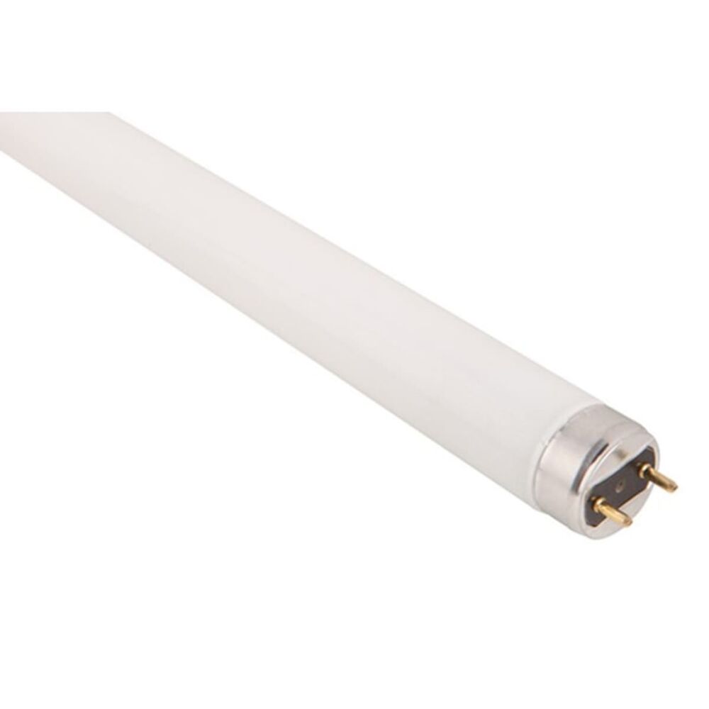 tubo neon fluo t8 g13 36w 120cm luce naturale - bricocenter